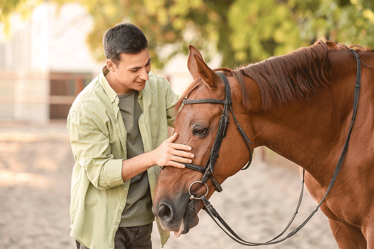 Is Equine Therapy Effective?